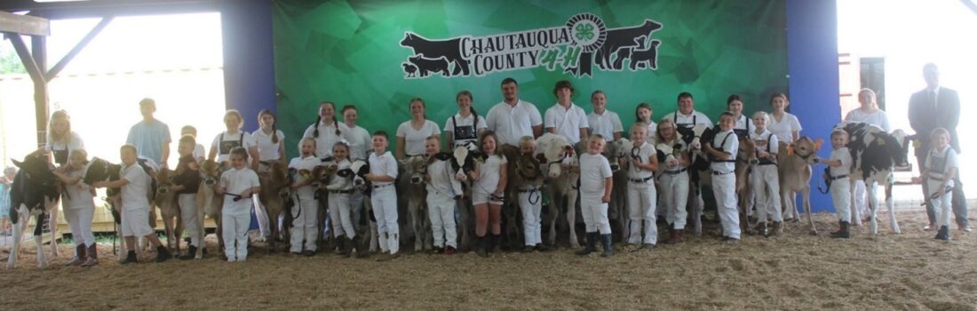 4-H Dairy Competition Winners Announced | News, Sports, Jobs - Post Journal